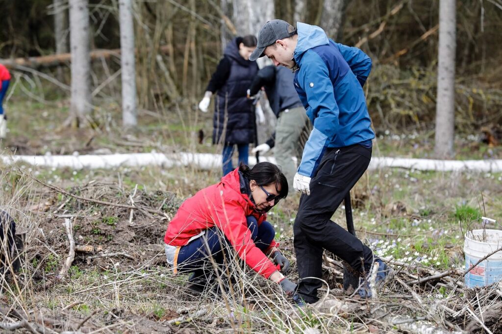 Continuing the Tradition: Annual Oak Tree Planting - Ecowood
