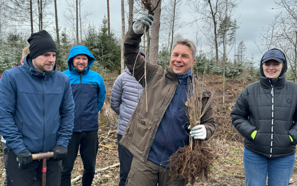 The Tradition of Planting Oaks for a Greener Tomorrow - Ecowood