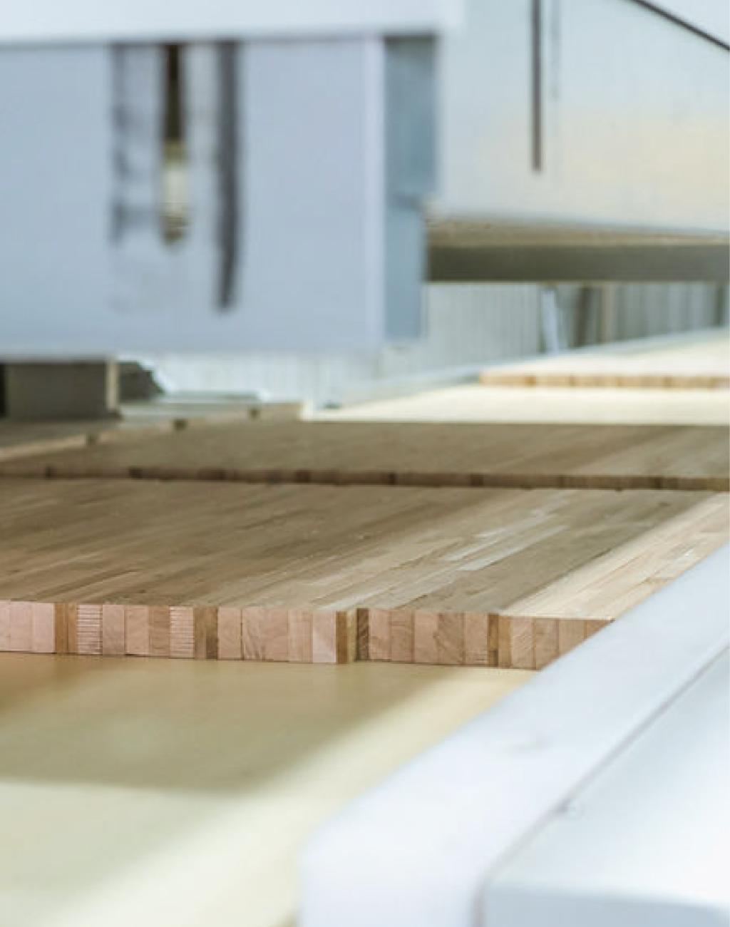 Oak Wood Panels Manufacturer - Ecowood
