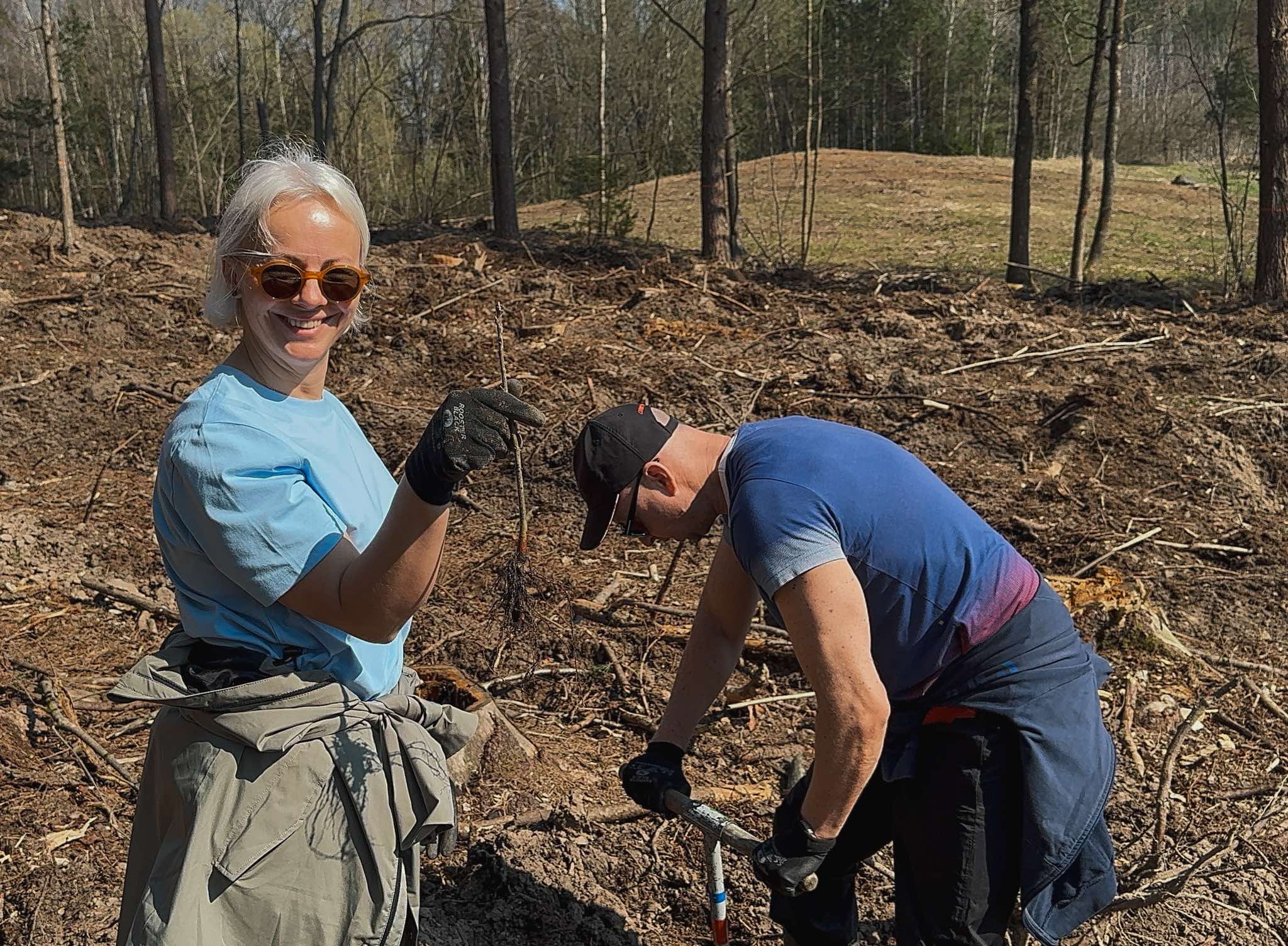 Continuing the Tradition of Planting Oak Trees - Ecowood