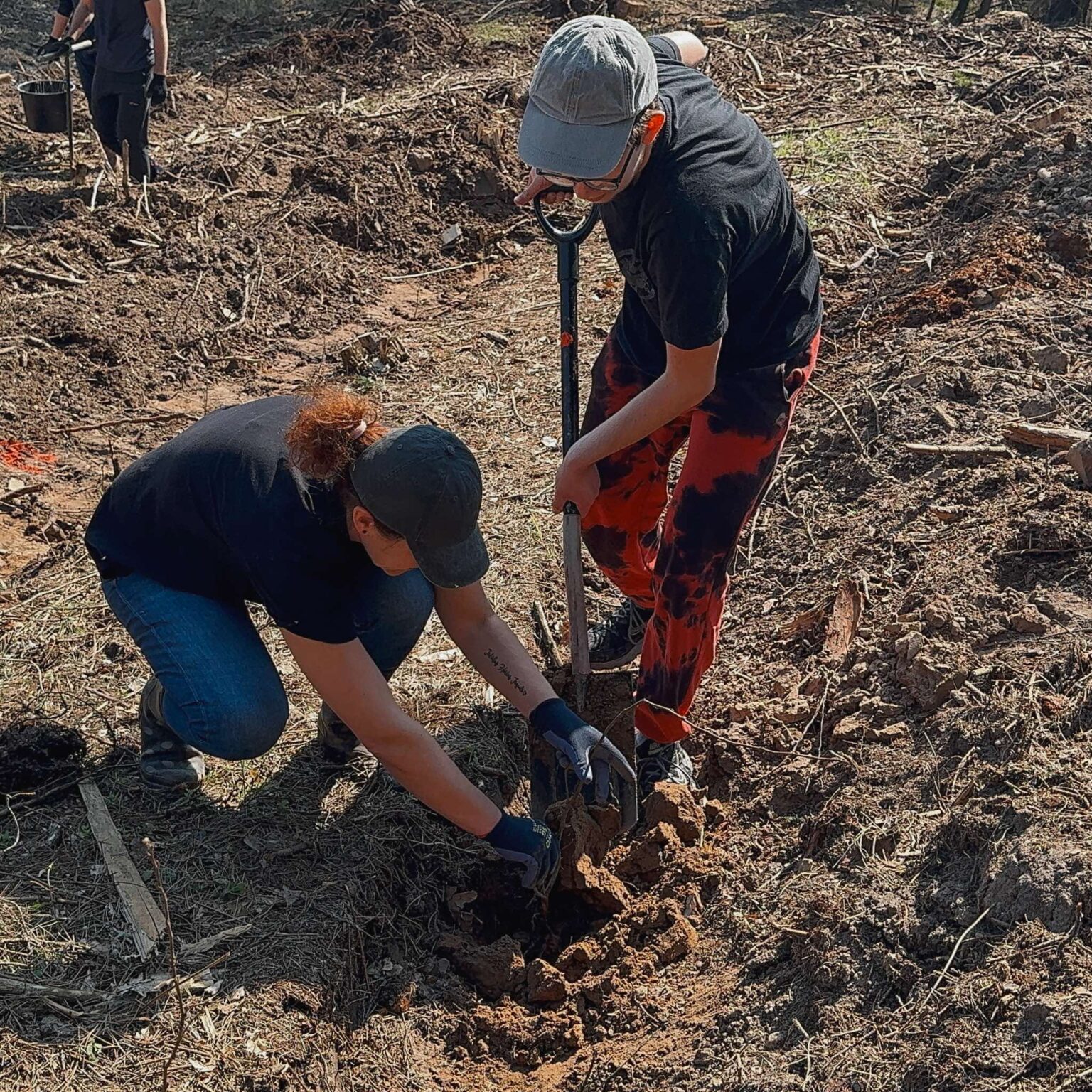 Continuing the Tradition of Planting Oak Trees - Ecowood