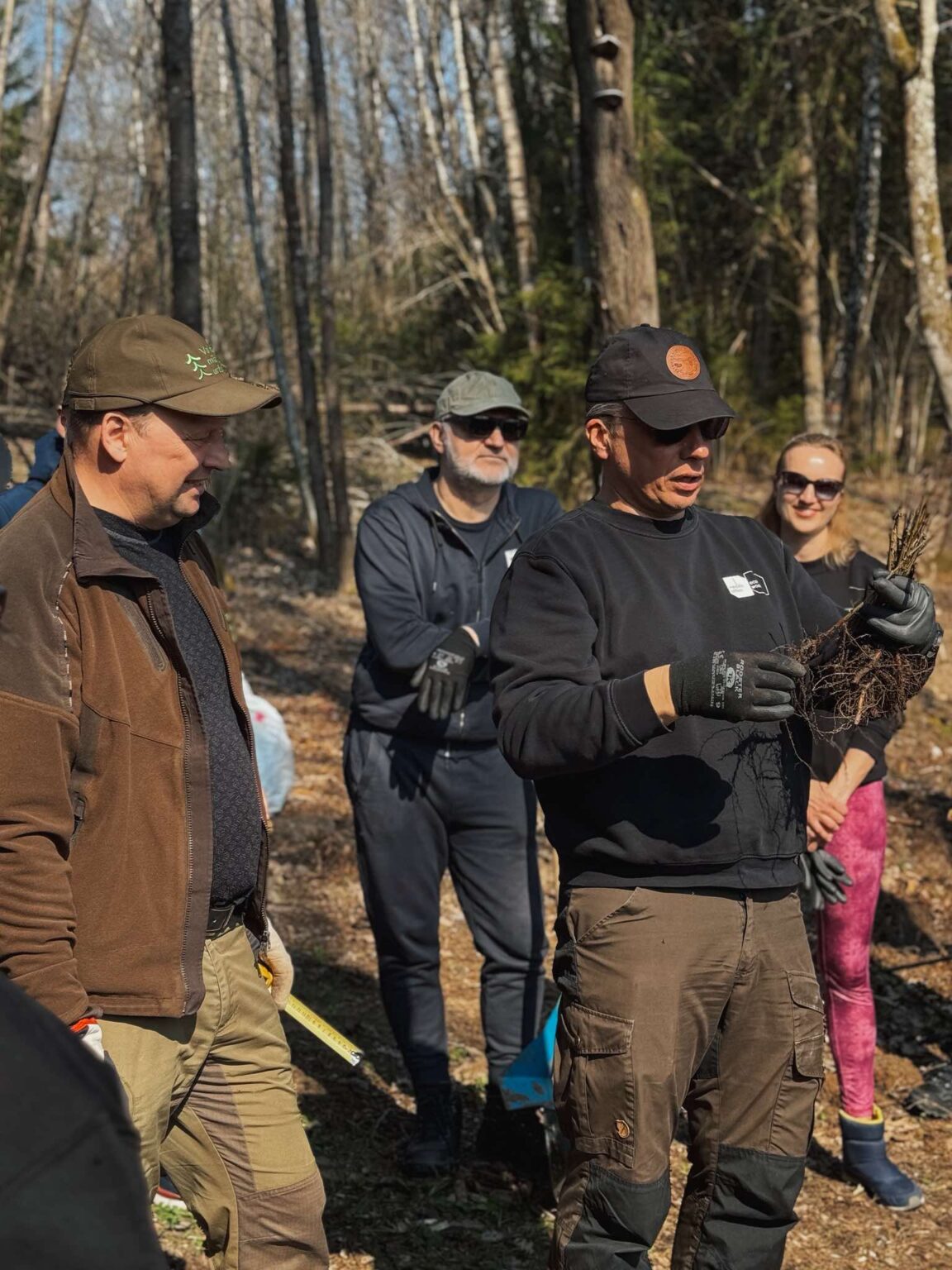 Continuing the Tradition of Planting Oak Trees - Ecowood