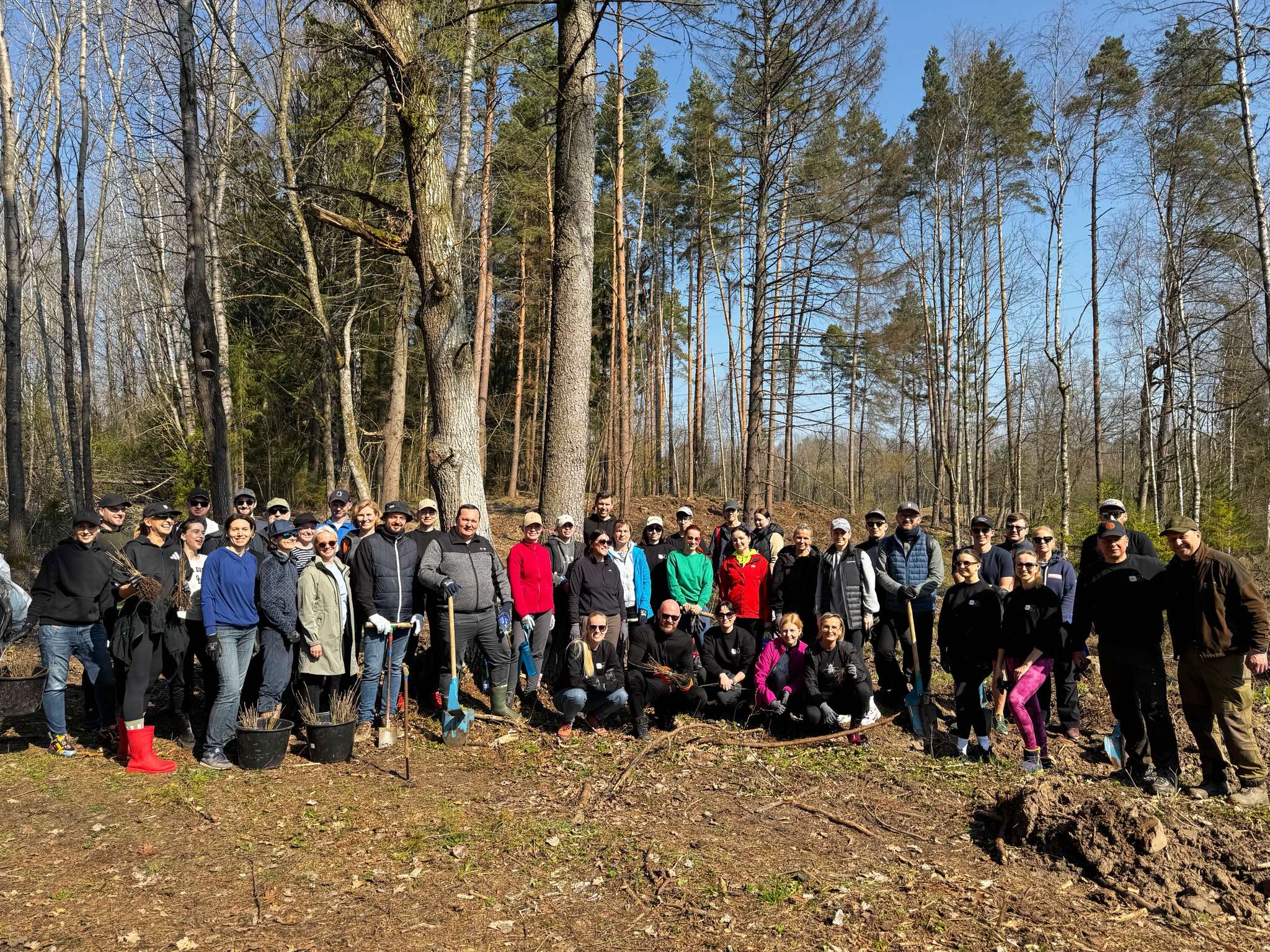 Continuing the Tradition of Planting Oak Trees - Ecowood